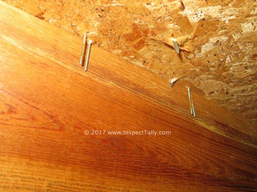 roof-deck-staples - Tallahassee Real Estate Inspections