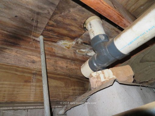 What is Wood Rot? - Tallahassee Real Estate Inspections